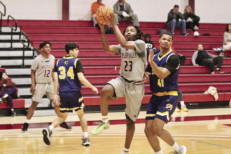 Defensive Minded | Sports | avpress.com