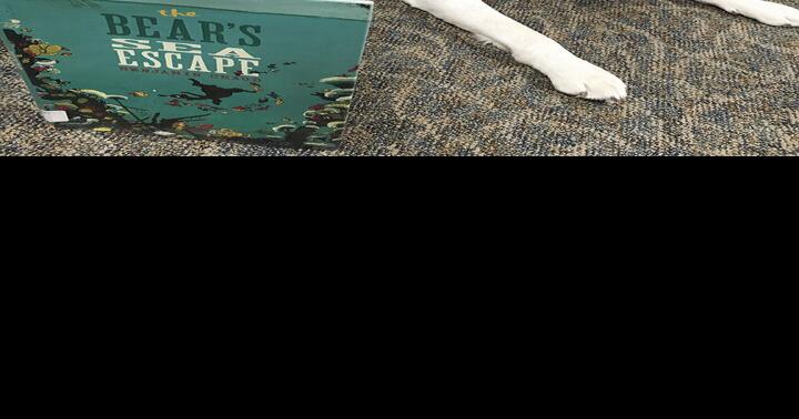 A barkin’ good time | Showcase | avpress.com