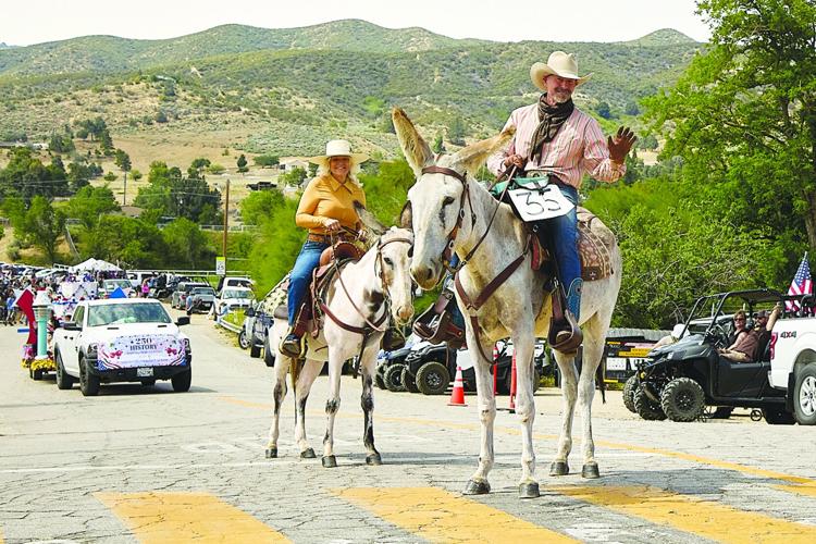 Feasting on the fare at festival | News | avpress.com