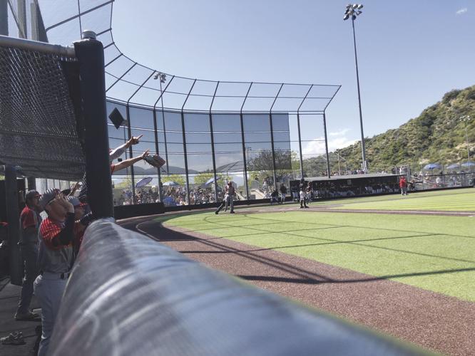 Paraclete falls to St. Francis | Sports | avpress.com
