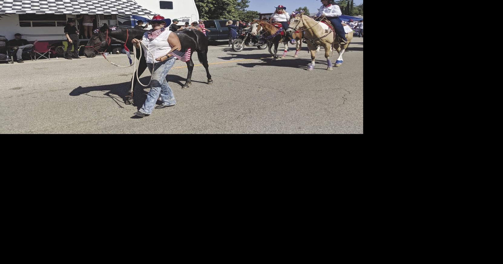 Horse entry shows way in parade | News | avpress.com