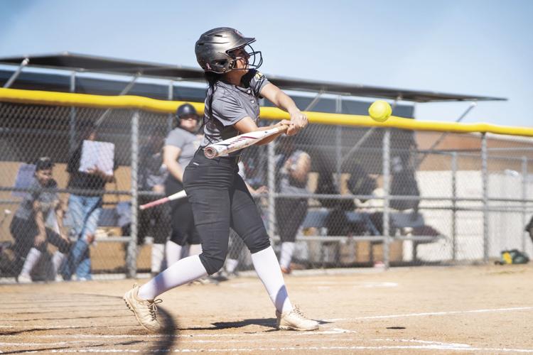 Royals Blank Hawks | Sports | avpress.com