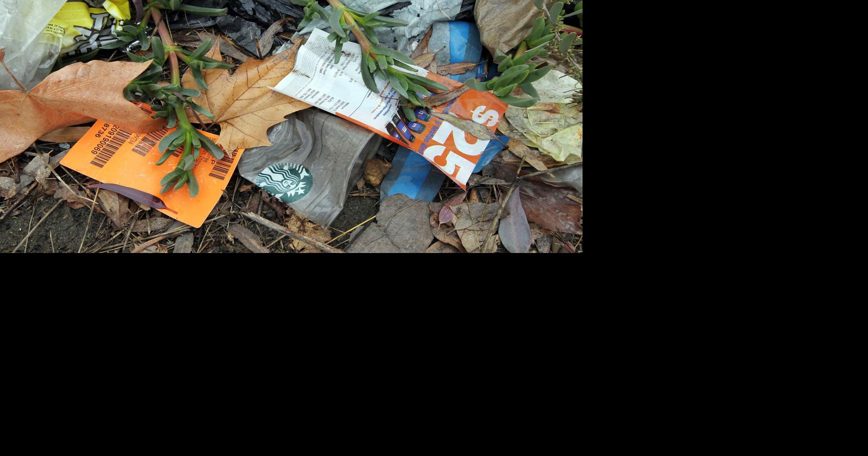 City OKs plan to hire homeless to clean up litter | News | bakersfield.com