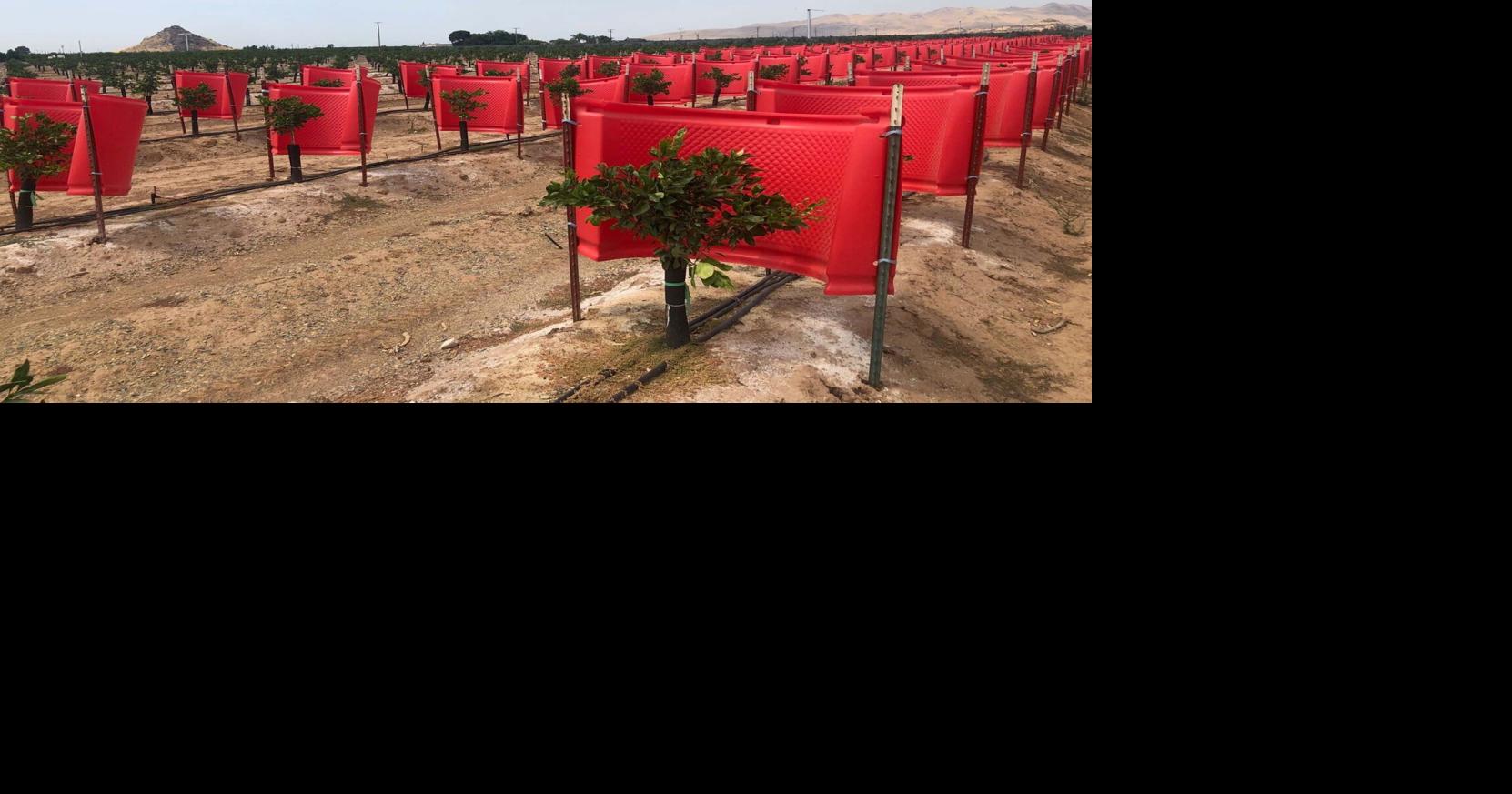 Local farmers experiment with new ag tech to boost crop yield, reduce ...