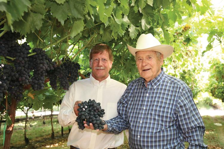 On rich soil: Kern County families provide grapes aplenty ...