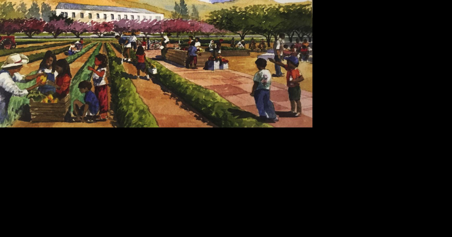 Tejon Ranch Grapevine project prevails in court against lawsuit from ...