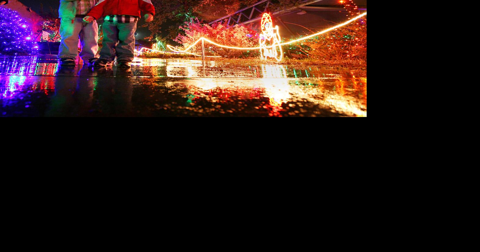 CALM zoo ready to light up the night | News | bakersfield.com