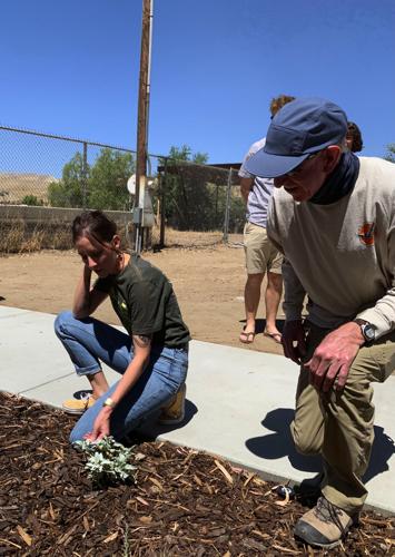 Connect with the outdoors at Kern River Parkway Nature Center ...