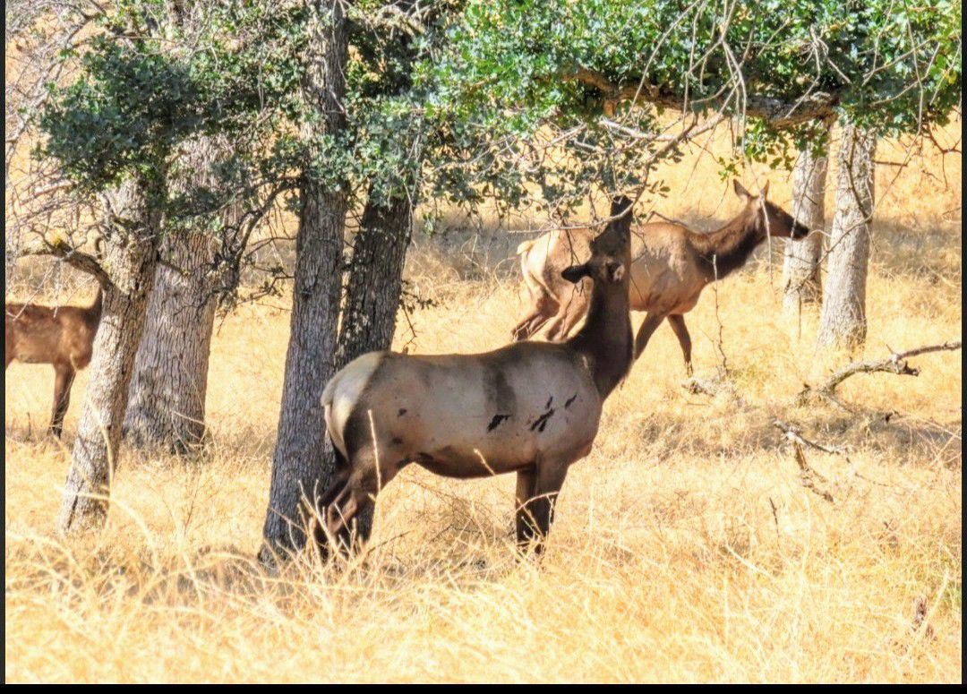 THROUGH YOUR LENS: WIldlife prepares for Fall | Photo Galleries ...
