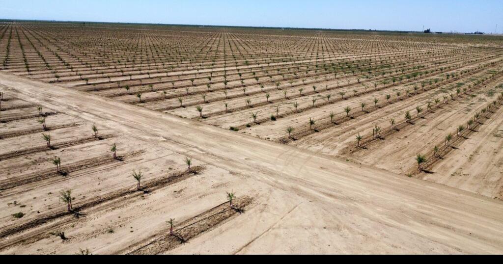 State not ponying up enough cash for farmland retirement, critics say ...