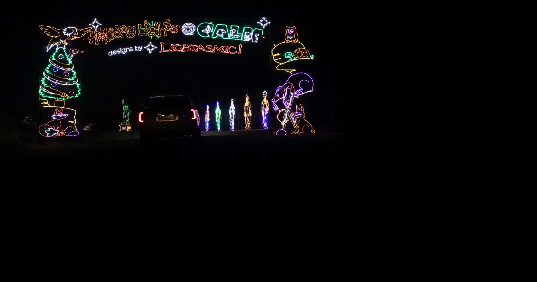 Vote for HolidayLights at CALM for light show award | News ...