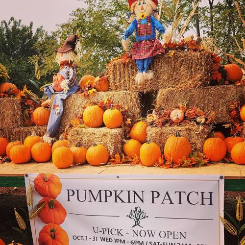 On a weekend morning, what's better than a trip to the farmers market ...