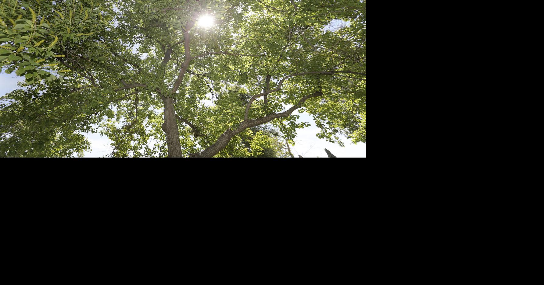 Mobile Rec. Summer Tour brings fun to city parks | Entertainment ...
