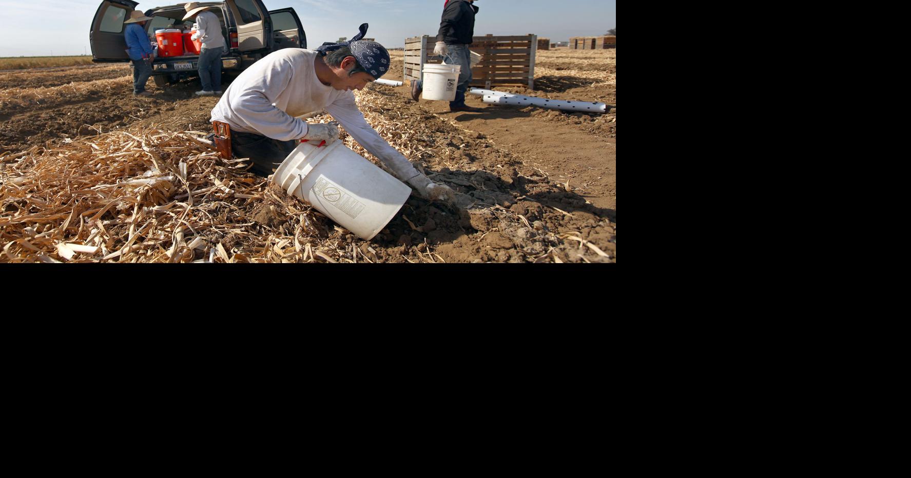 Activists renew attention on farmworkers' heat illness risks | News ...