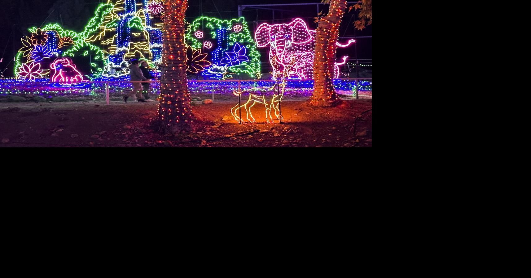 CALM's HolidayLights bigger, brighter with new additions ...