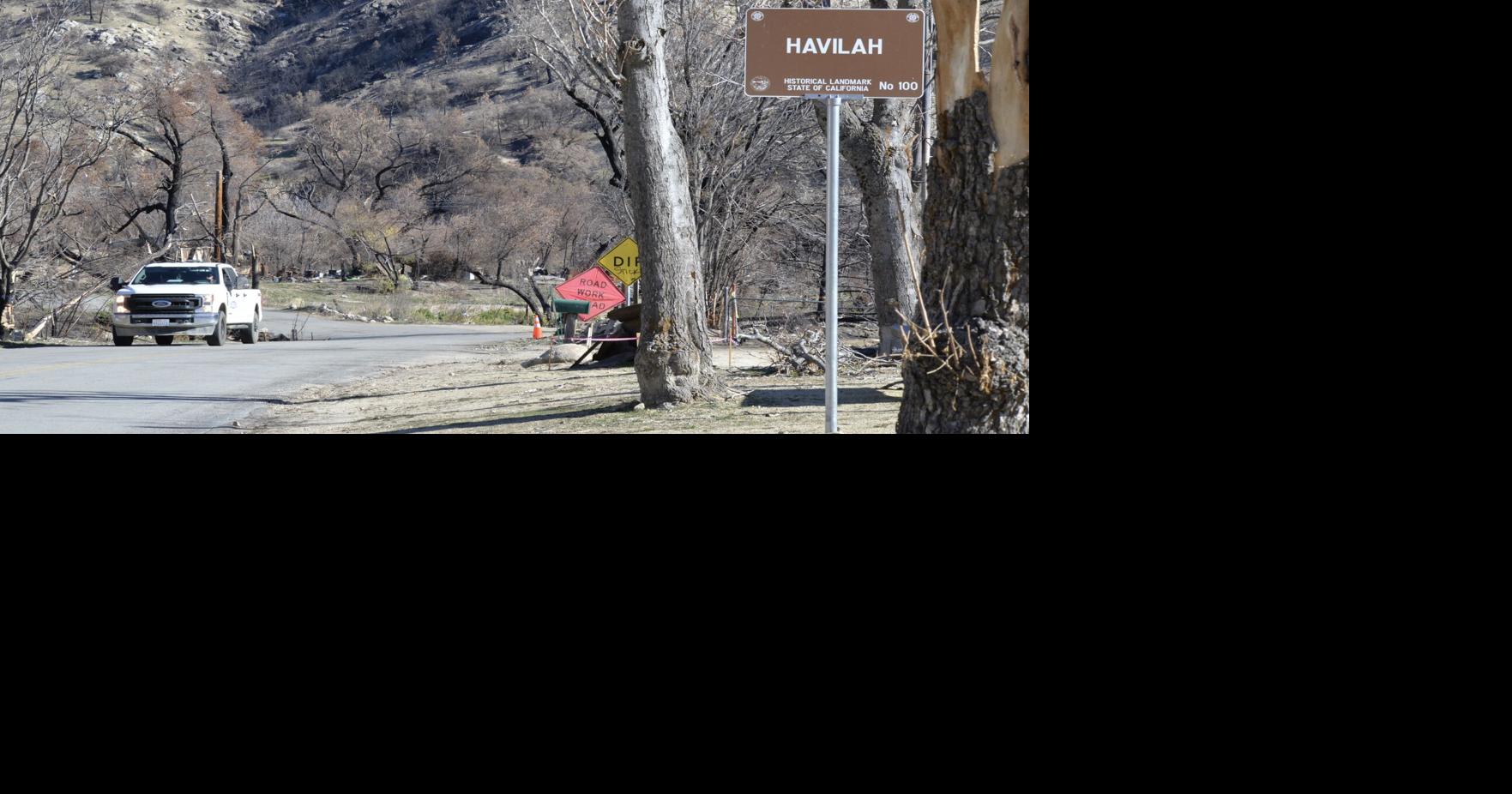 Six months after Borel Fire, recovery still seems a long way off | News ...