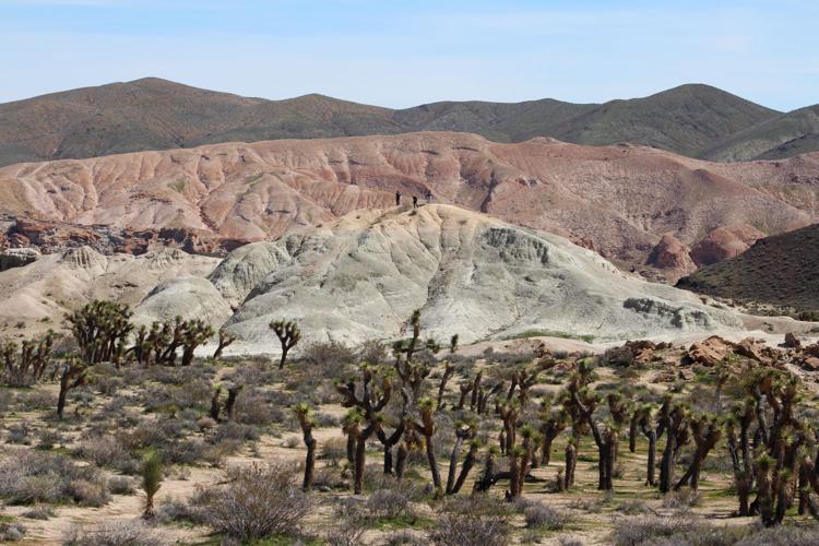 Get out! Check out the best places to camp in Kern County | Bakersfield ...