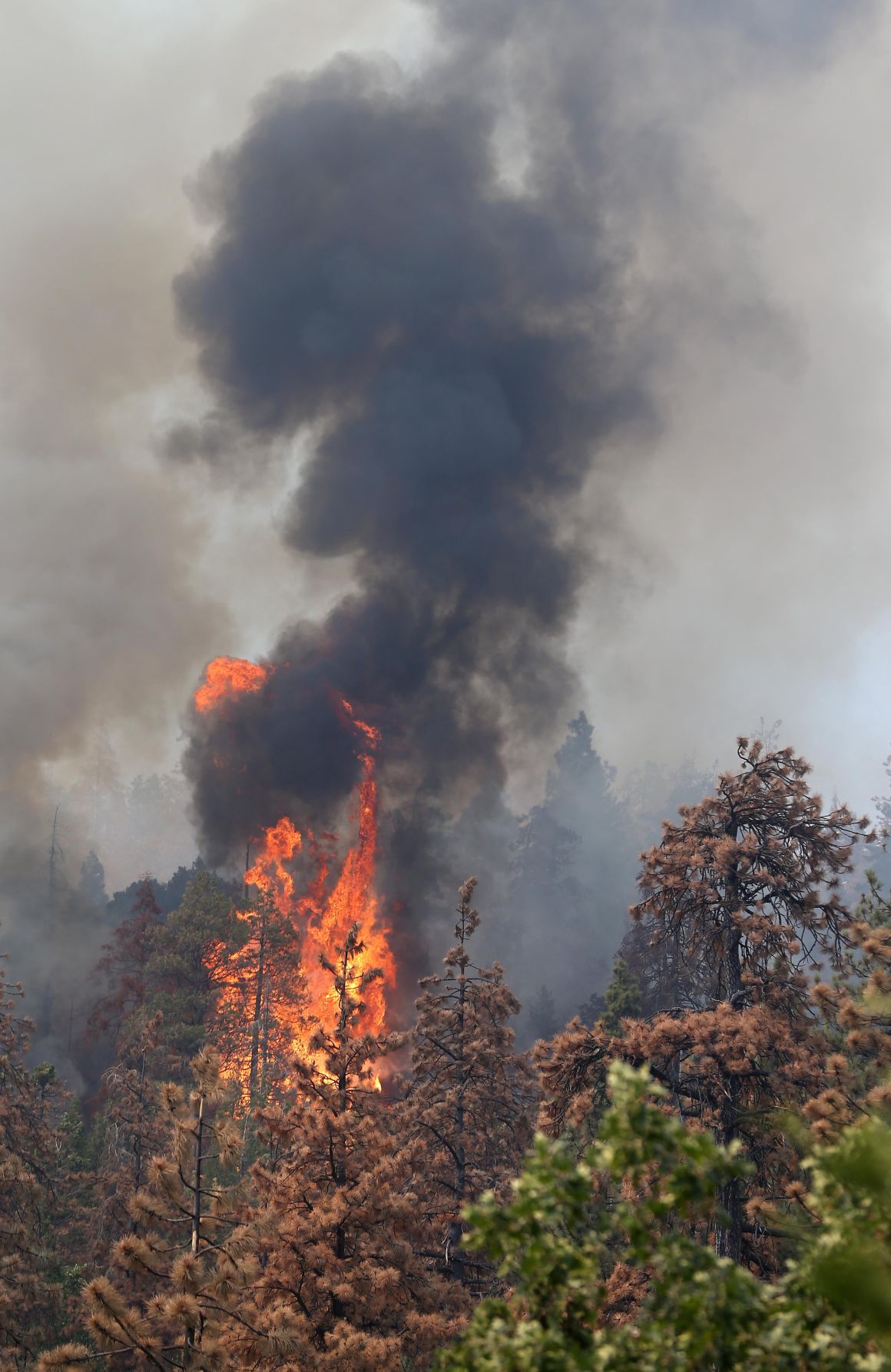 Recommended evacuations issued for communities near Cedar Fire ...