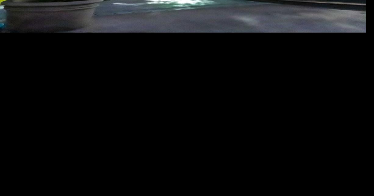 Christmas Tree Lighting preview | Tbc Blox Images | bakersfield.com