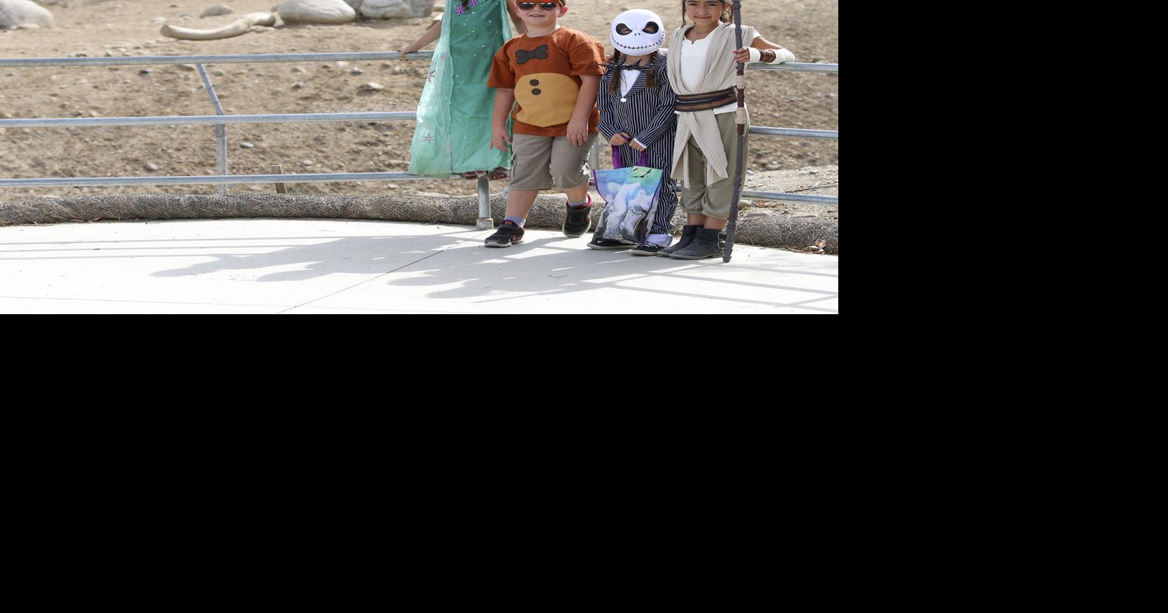 CALM's Boo at the Zoo returns this weekend | Entertainment ...