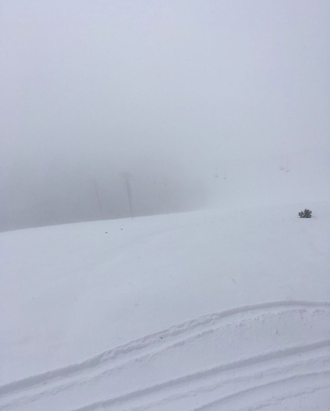 Recent snow is exactly what Alta Sierra Ski Resort needed | News ...