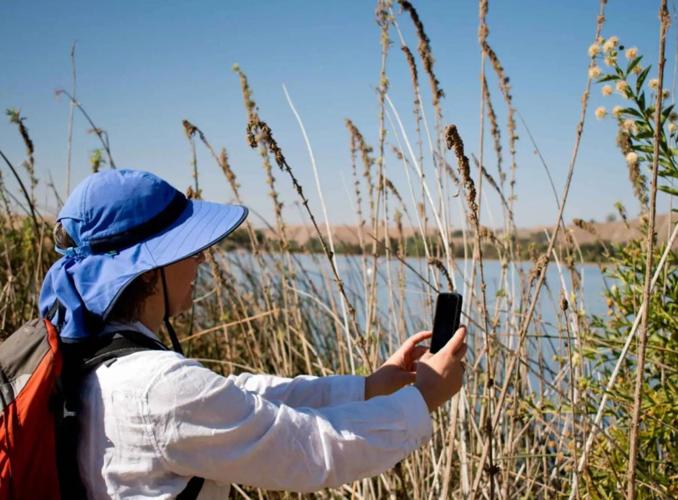 Native plants and where to find them: The search for native plants on ...