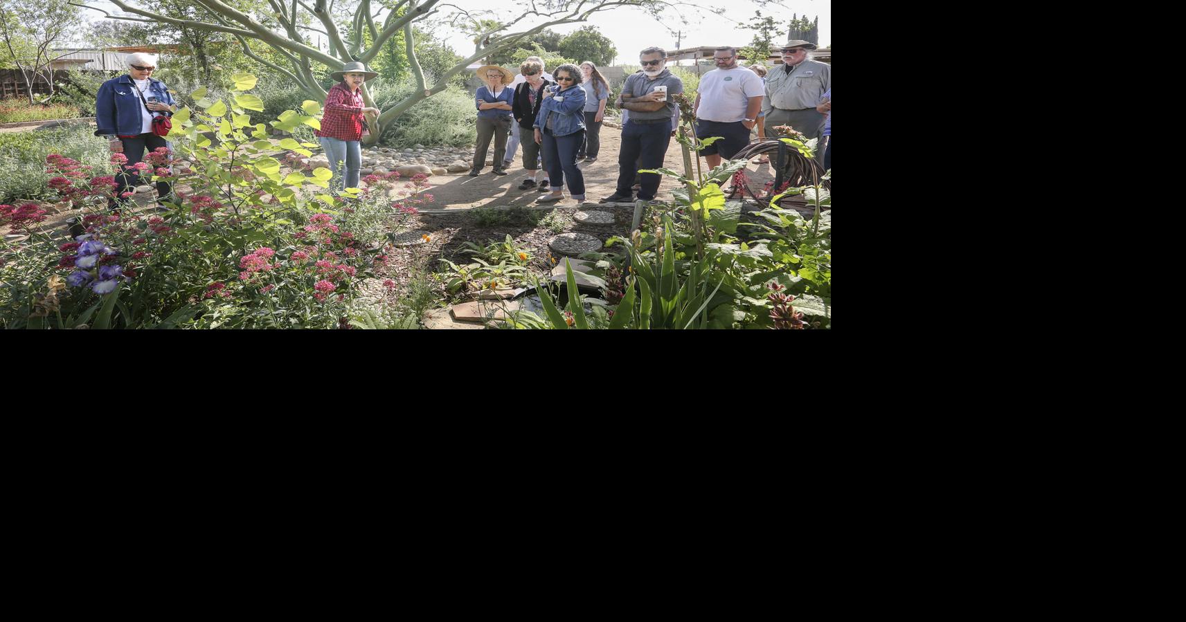 PHOTO GALLERY: California Native Plant Society Kern Chapter Holds First ...