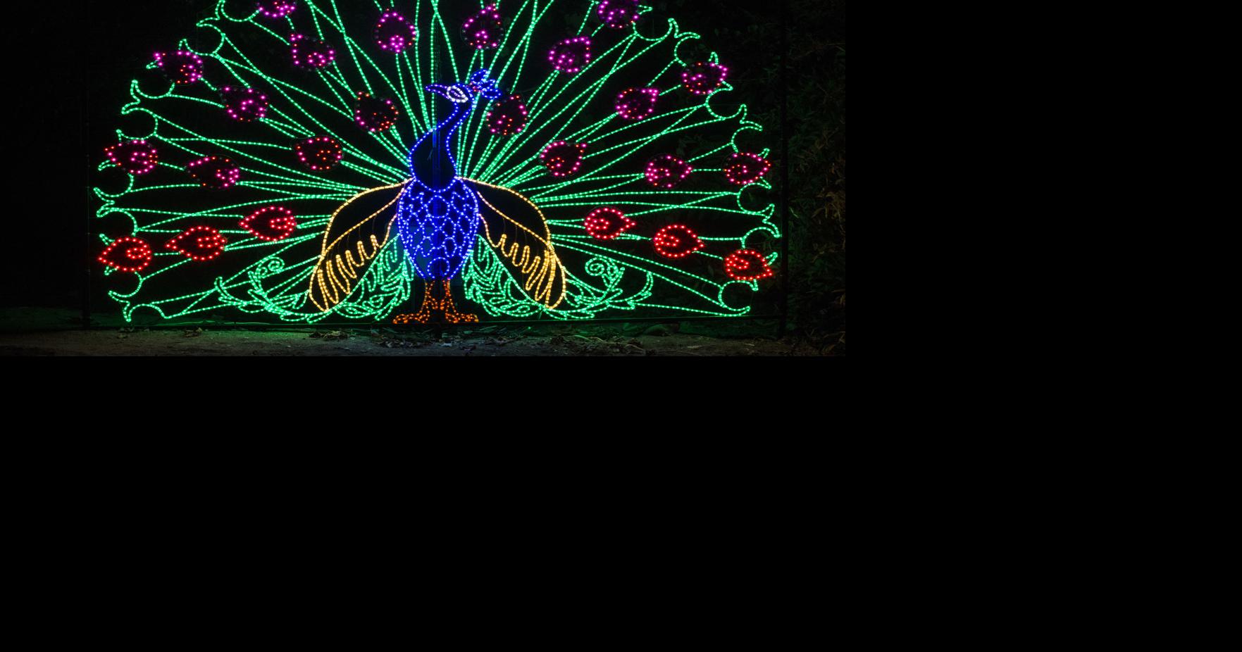 HolidayLights at CALM planned as drive-thru event | Entertainment ...