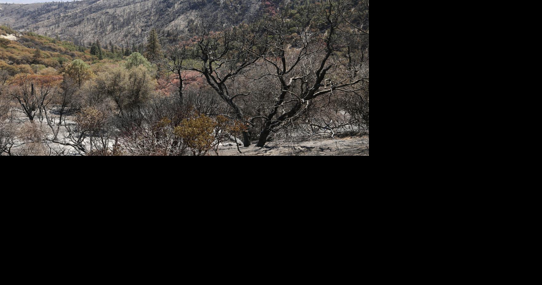 French Fire stalls as containment increases | Breaking | bakersfield.com