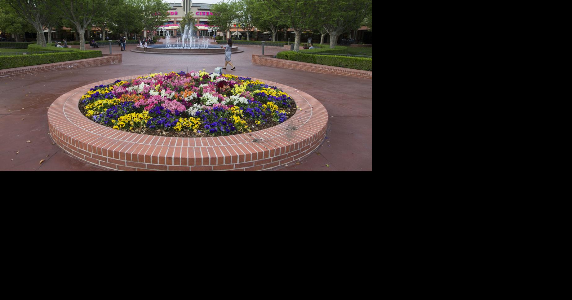 CSUB students could face towing when parking at The Marketplace | News ...