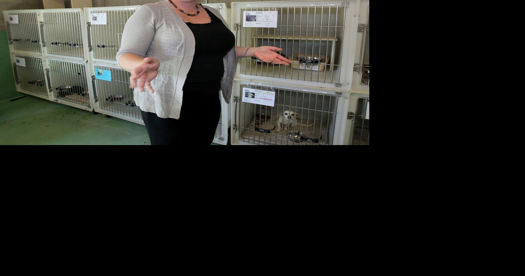 Q&A: New animal control chief already tackling chronic problems | News ...