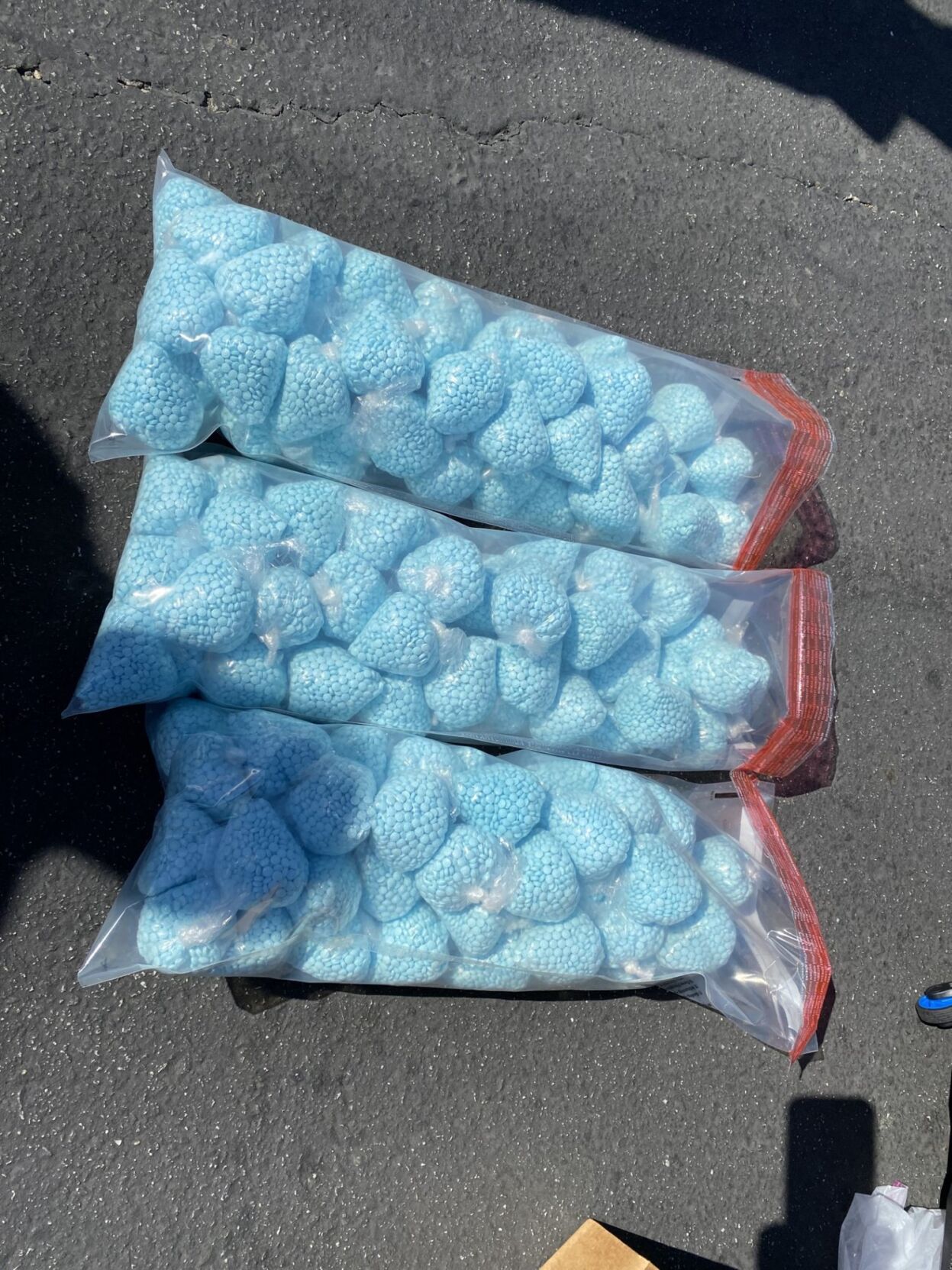 Pantalion Lopez-Zavala_500011459 | Tbc Blox Images | bakersfield.com