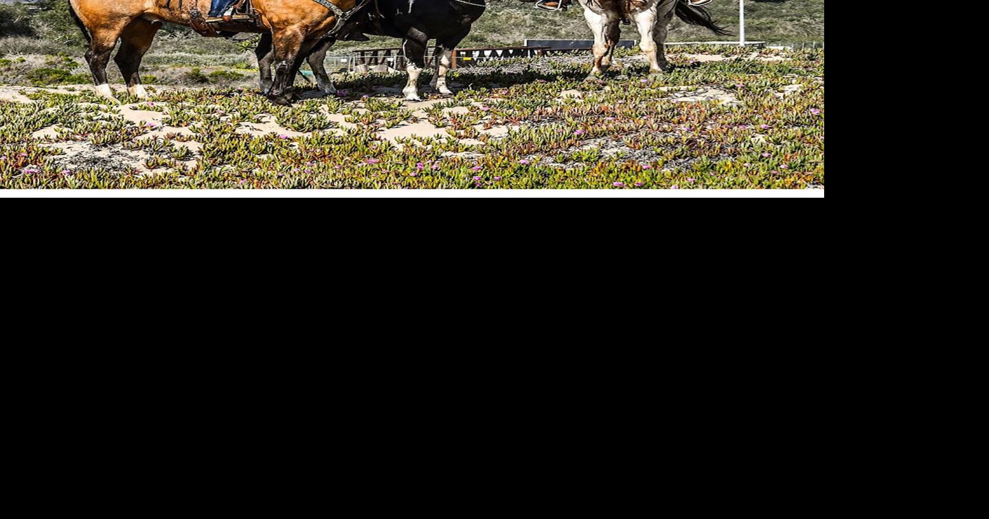 BC rodeo team weathered first year of competition, looks to thrive in ...