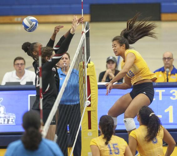 Young Roadrunners guide team to fifth straight win | The Delano Record ...