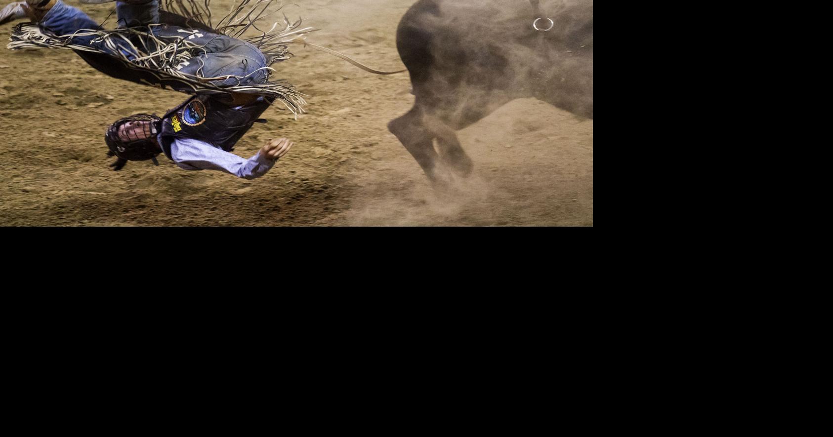 PHOTO GALLERY: Professional bull riders take to arena | Archives ...