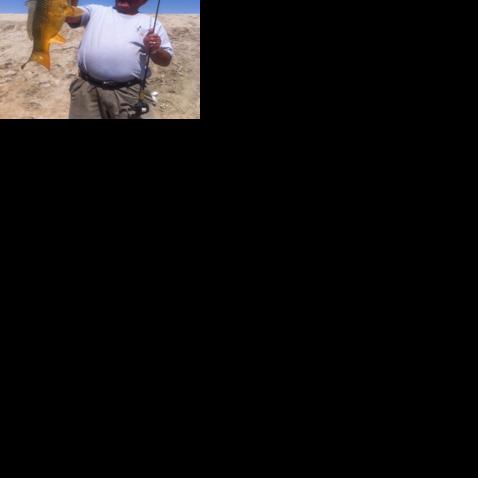 MERLO: Try carp fishing for dog day action | Sports | bakersfield.com