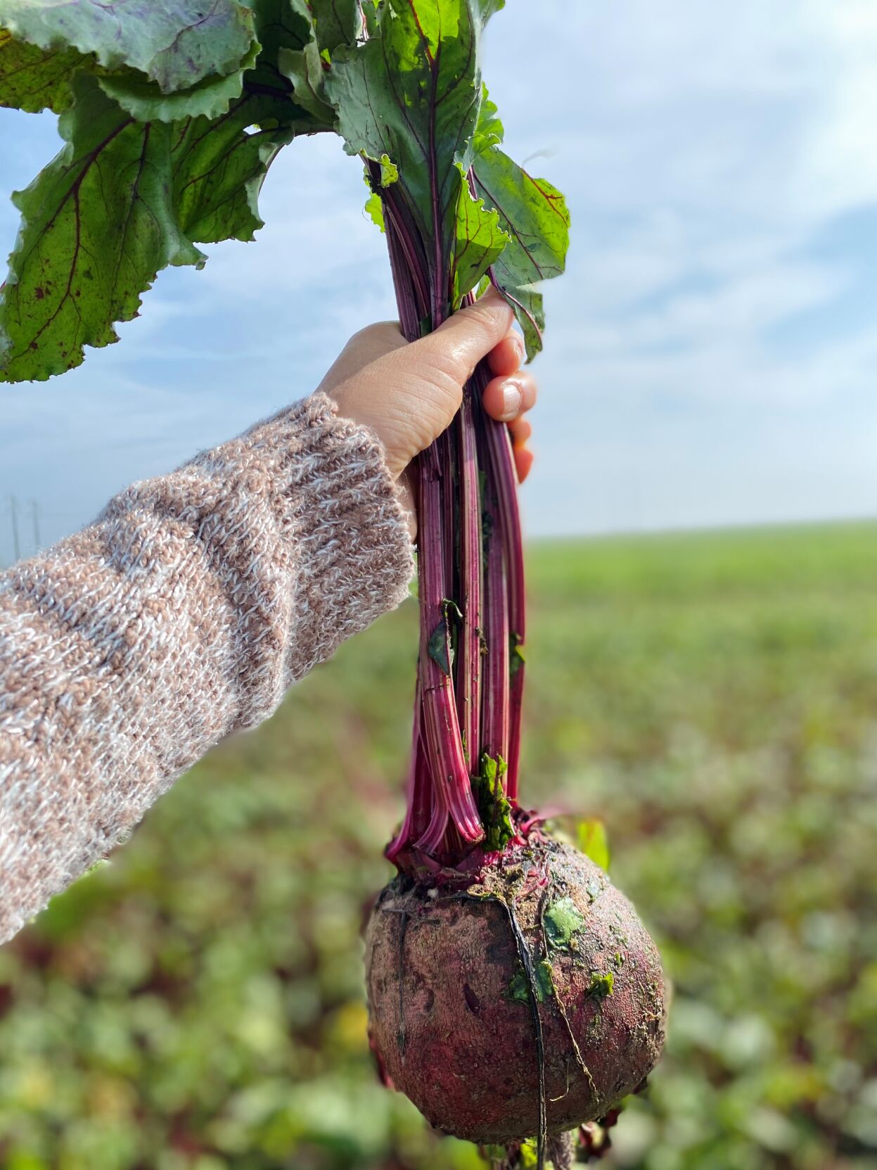 AROUND KERN COUNTY: Grounded in agriculture, boundless in innovation ...