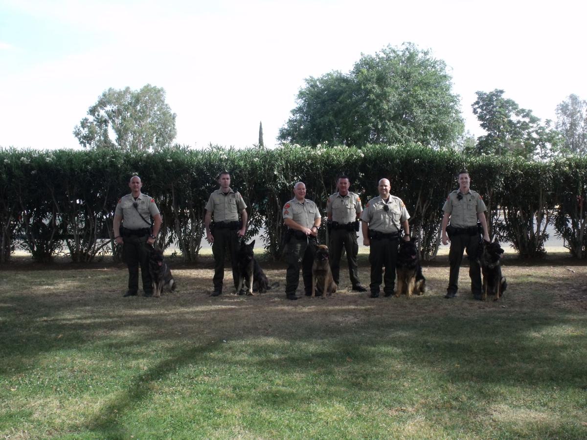 12 Things You Didn’t Know About: Kern County Sheriff’s Office K-9 unit ...