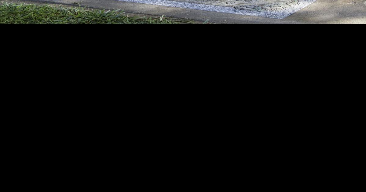 ROBERT PRICE: Brace for the local consequences of a Census undercount ...