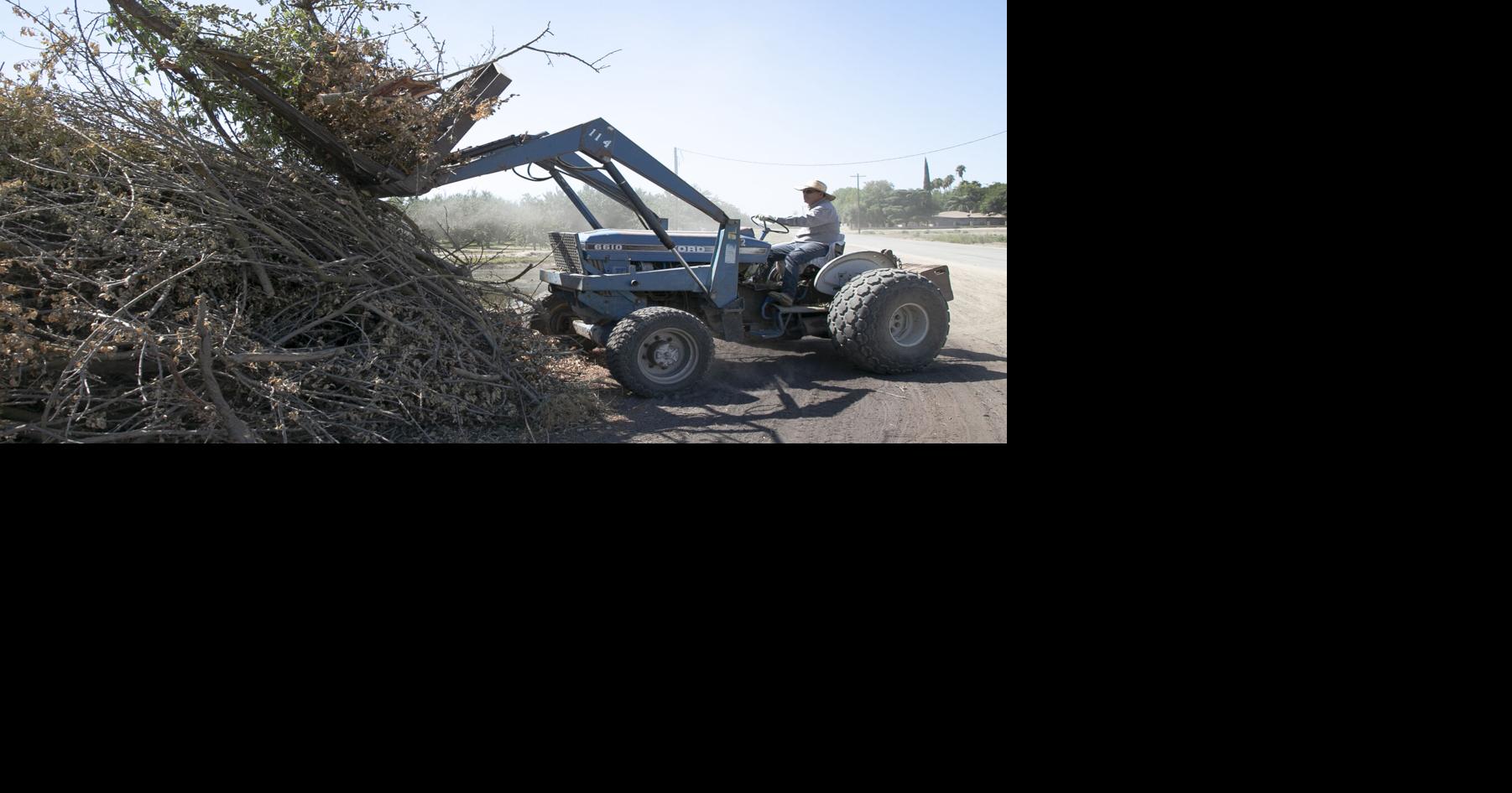 Air district finds almond waste incineration plan may beat alternatives ...