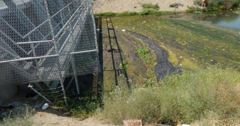 Potentially harmful algae found in parts of Isabella Lake, Kern River ...