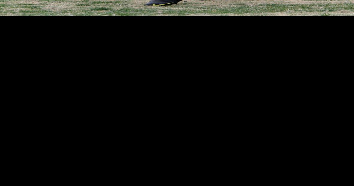 Garces soccer tournament serves as early-season litmus test | News ...