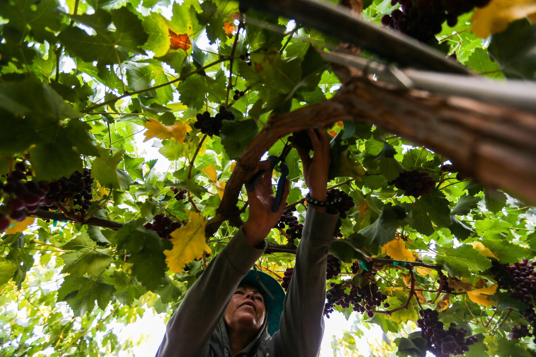 Opinion | bakersfield.com