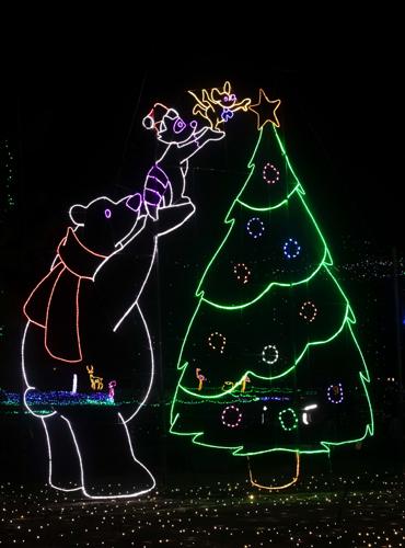 CALM’s largest fundraiser, HolidayLights, has helped fund animal ...