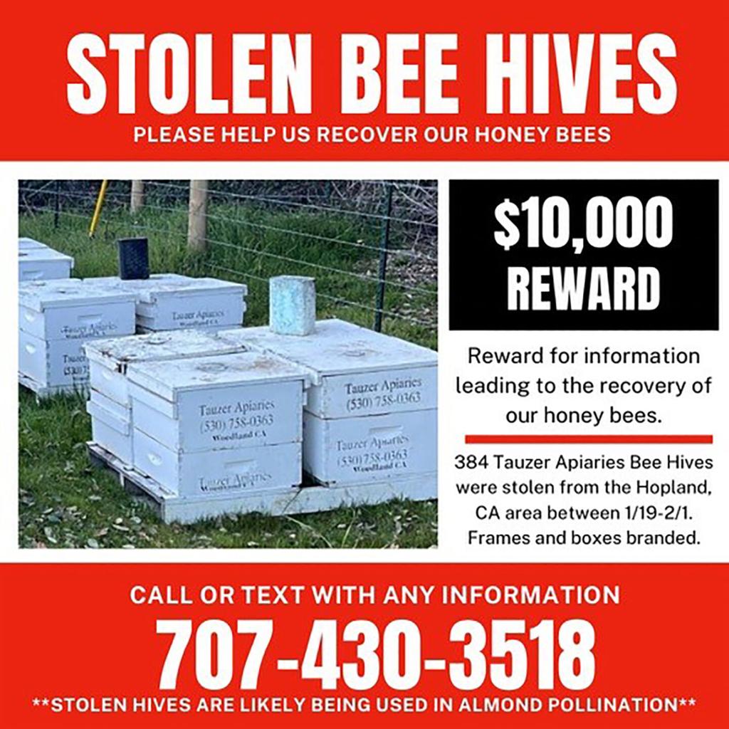 bees stolen