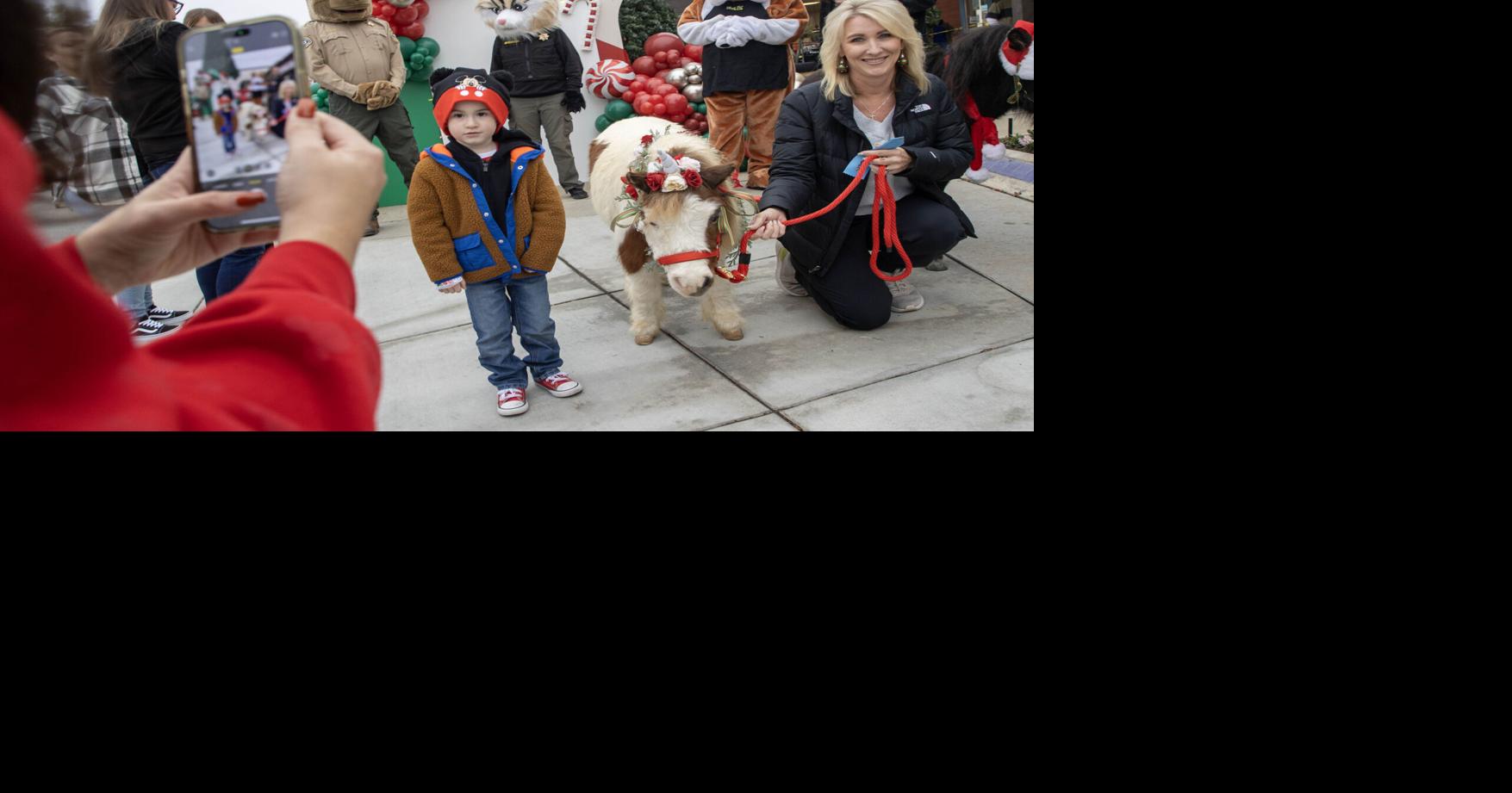 PHOTO GALLERY: Holiday spirit: Town & Country Village Shopping Center hosts pet parade, tree ...