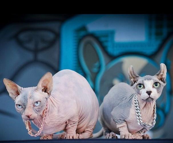 Datebook: What's happening in March | Bakersfield Life | bakersfield.com