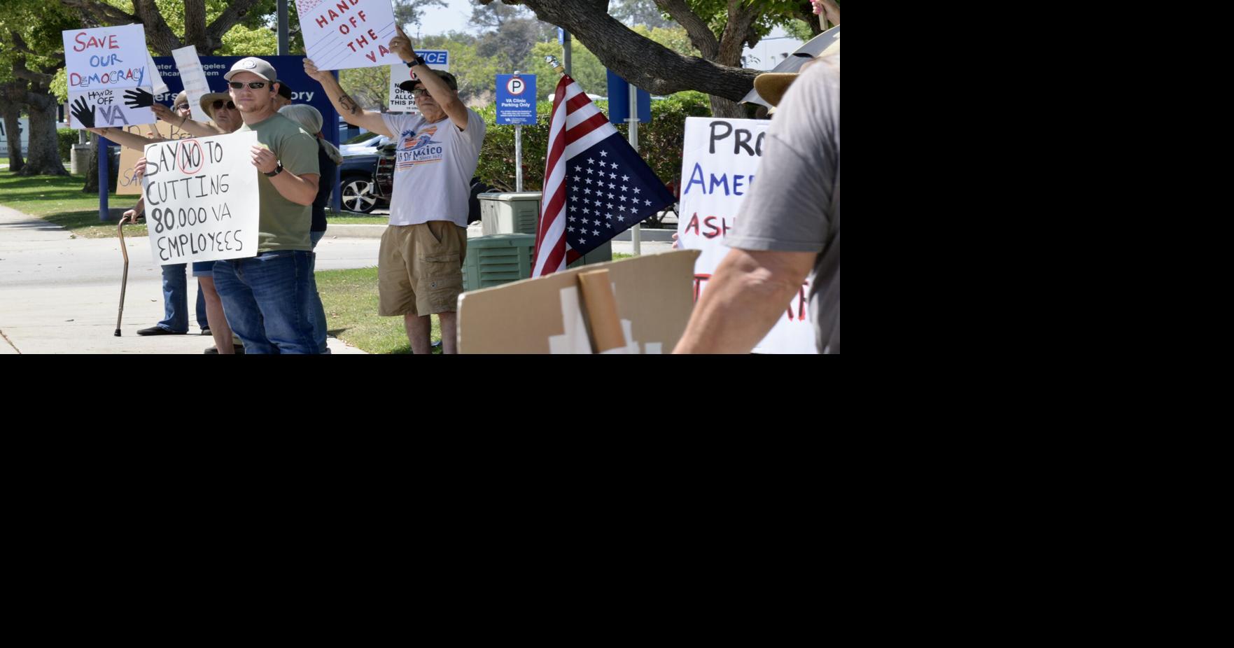 Decrying DOGE, protesters say pressure campaign is working | News ...