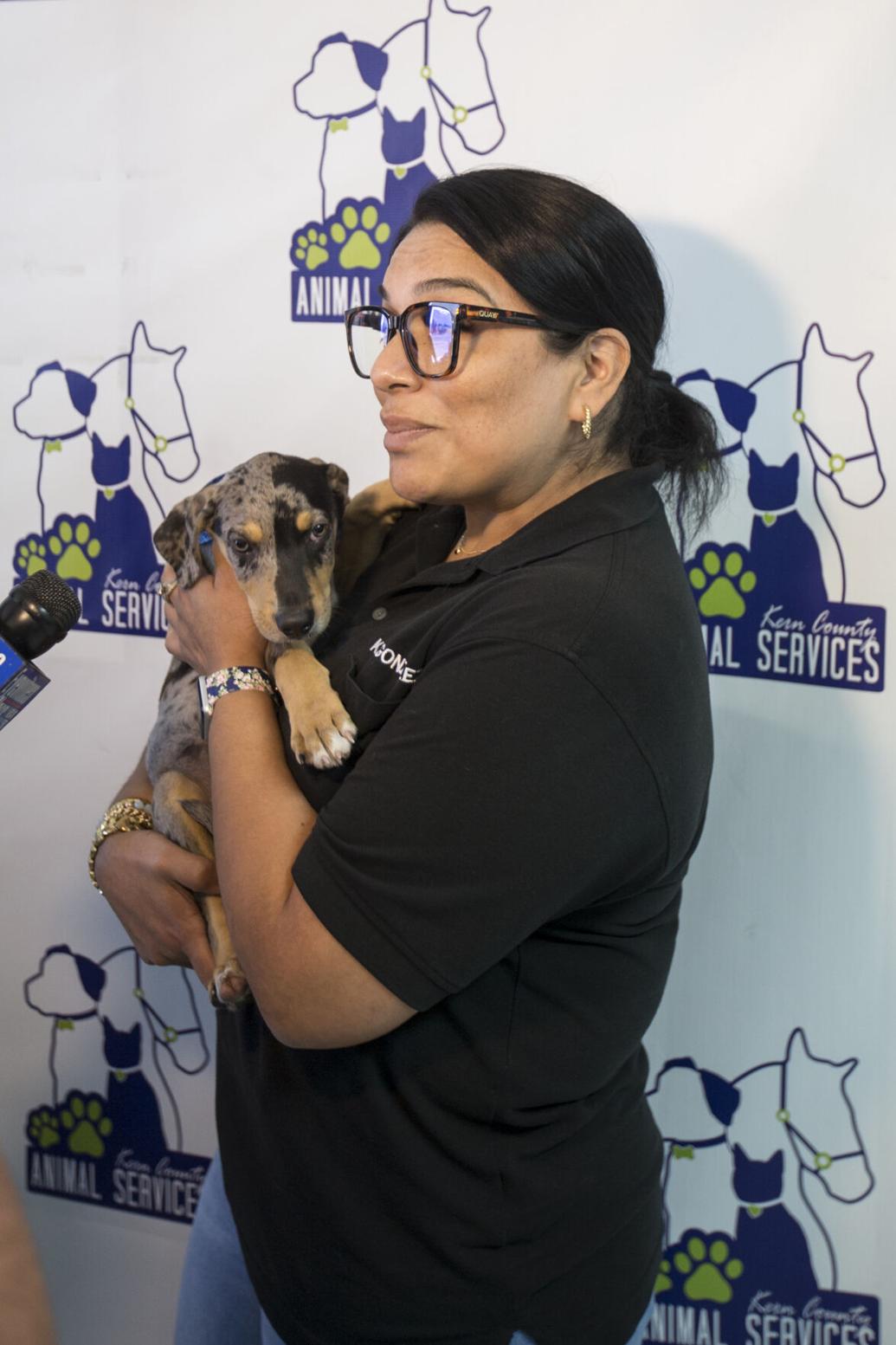 Kern County Animal Services announces 'Mega Adoption' event Sunday ...