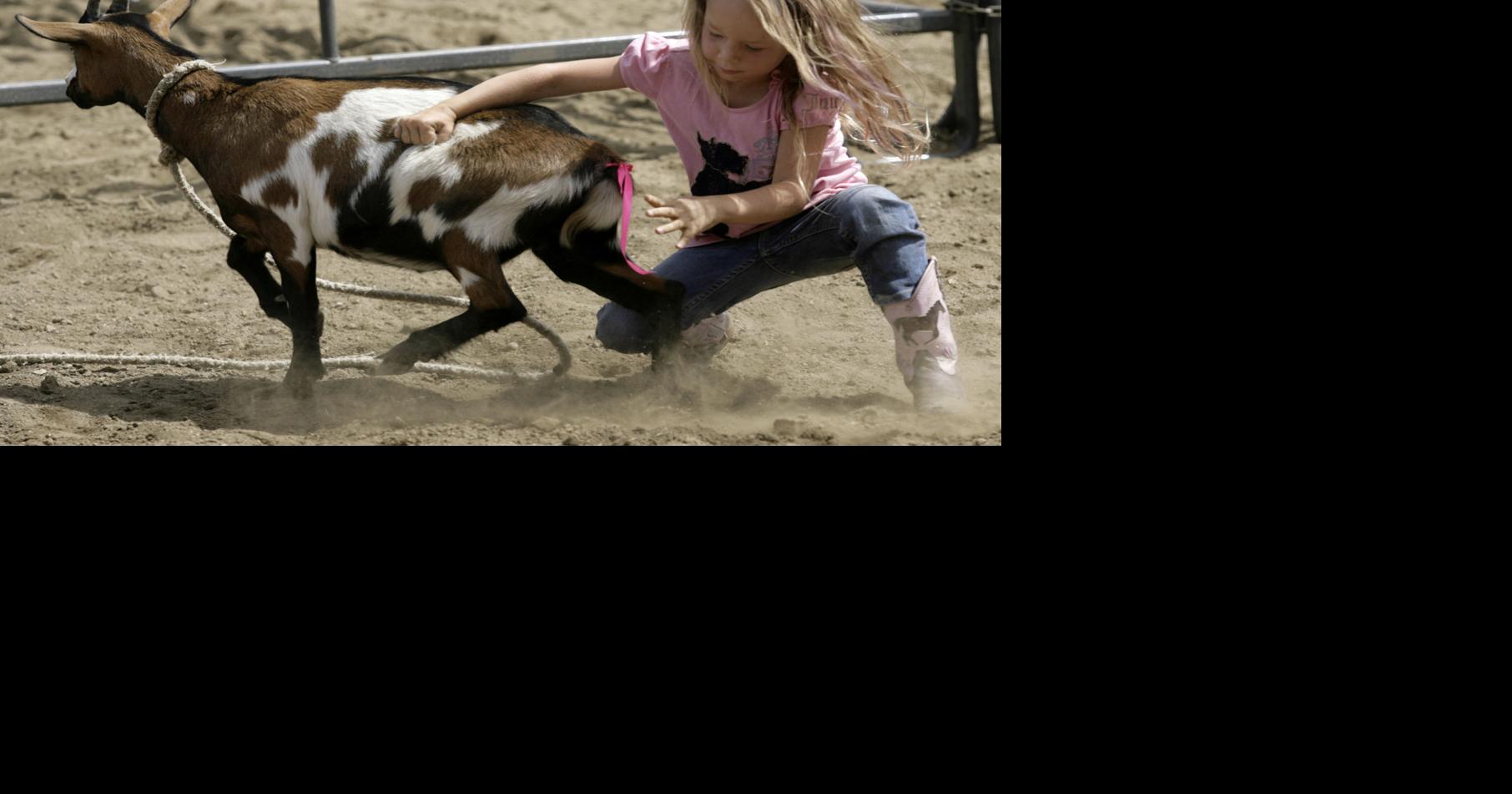 Goat dressing for a good cause; rodeo raises money for schools | News ...